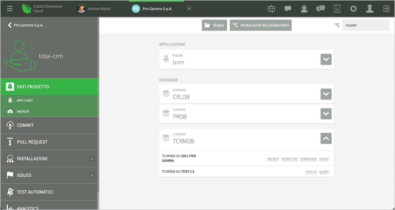 Gestione dei database nel cloud | Knowledge Base | Instant Developer